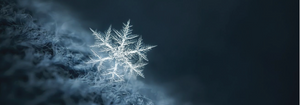 The Pros and Cons of Snowflake Cloud Data Warehouse | Zuar